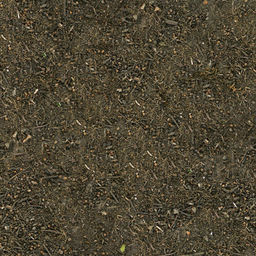forest floor texture seamless