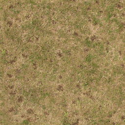 Seamless Dry Grass Texture